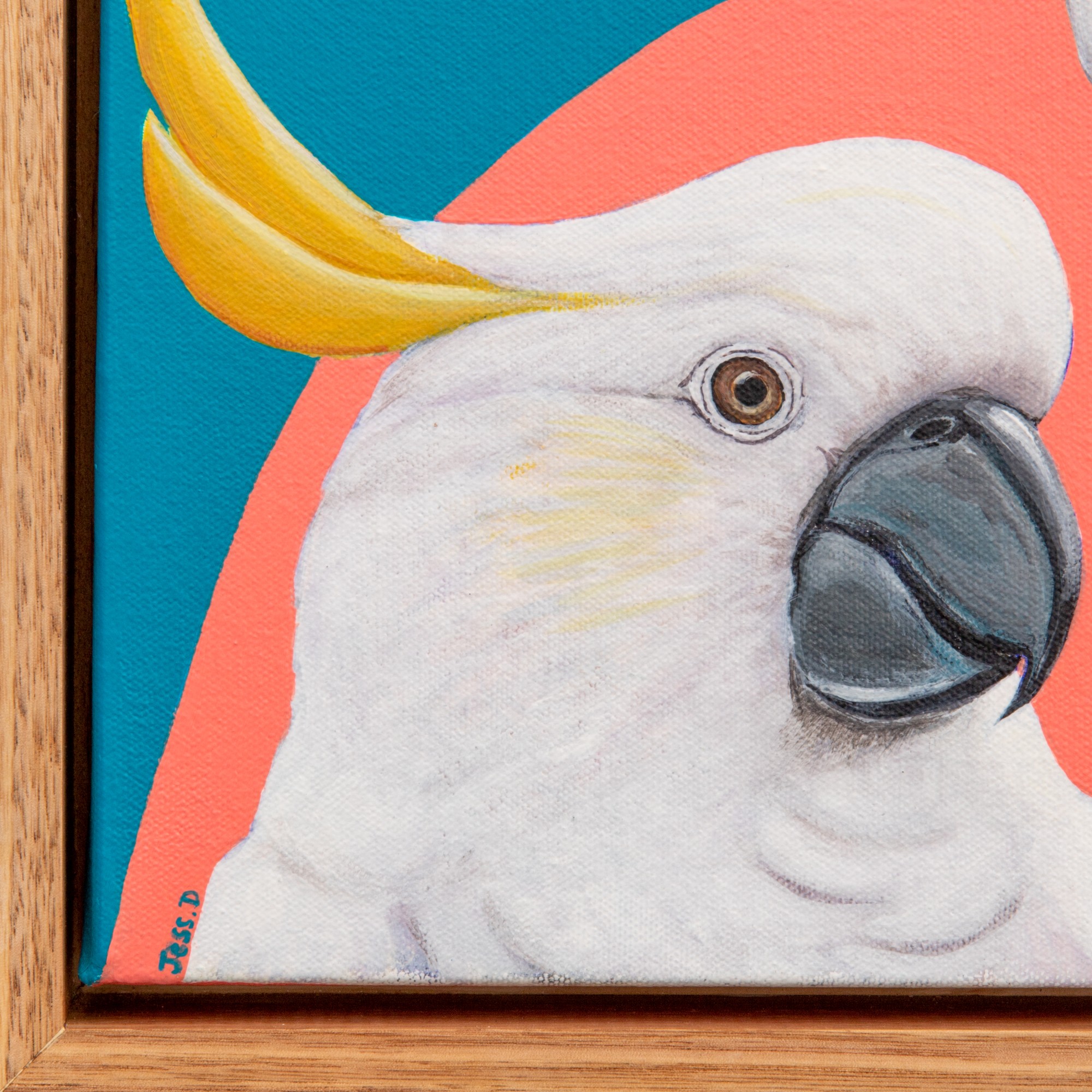 Jess Douglas Painting - Preened and Ready to Rumble